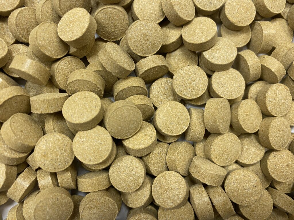 Corydoras Tablets – FishScience