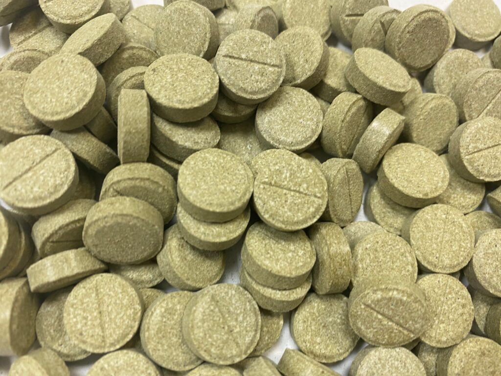 Fish Treats with Algae – FishScience